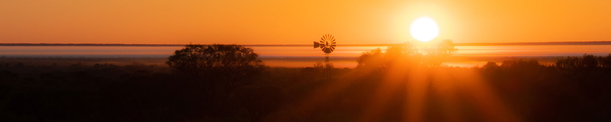 Our Campaigns - Find Cancer Early